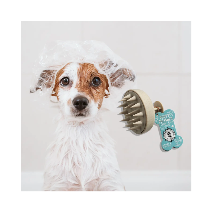 Wag & Bright Supply Co.